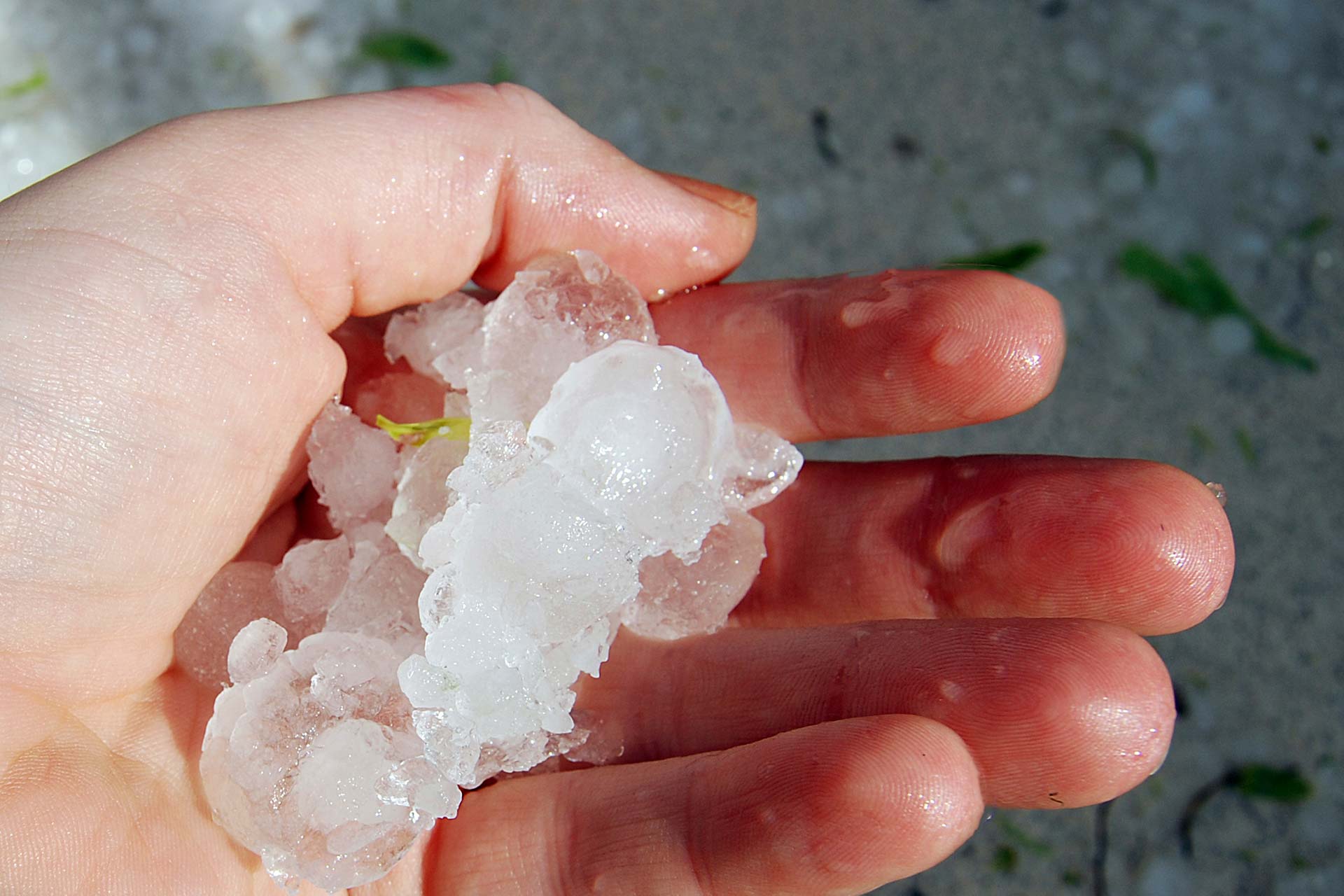 Storm Damage Repair | Hail & Wind Restoration Contractors